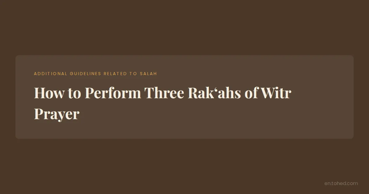 How to Perform Three Rak‘ahs of Witr Prayer | Tohed