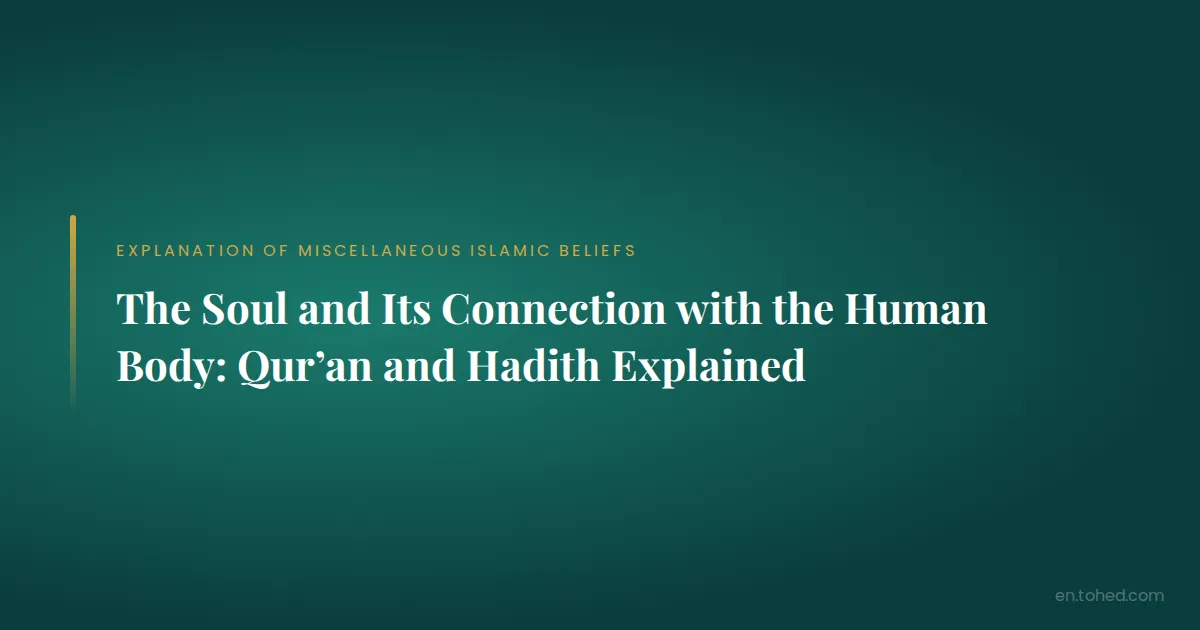 The Soul and Its Connection with the Human Body: Qur’an and Hadith ...