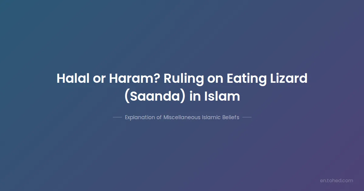 Halal or Haram? Ruling on Eating Lizard (Saanda) in Islam | Tohed