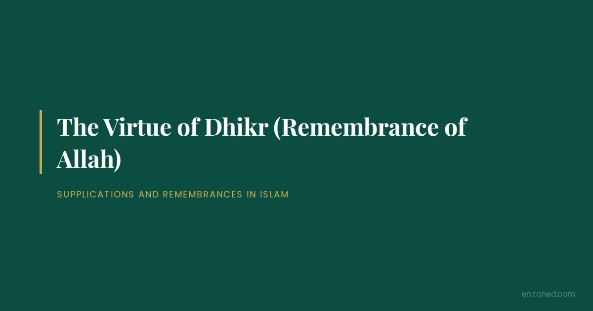 The Virtue of Dhikr (Remembrance of Allah) | Tohed