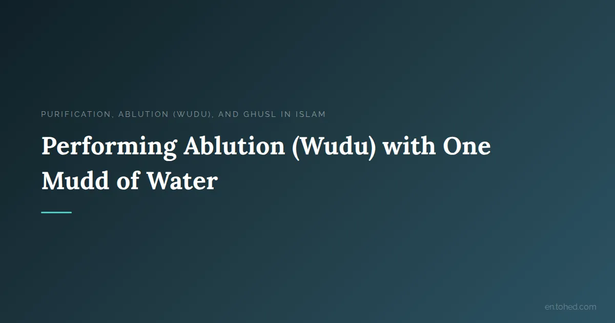 Performing Ablution (Wudu) with One Mudd of Water | Tohed