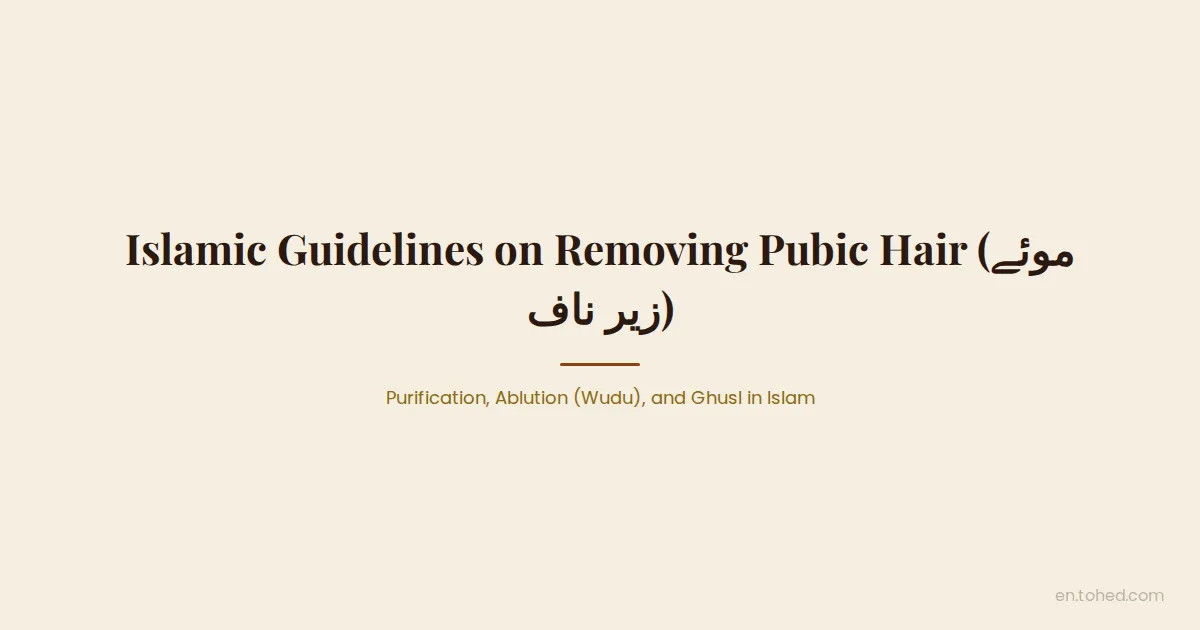 Islamic Guidelines on Removing Pubic Hair (موئے زیر ناف) | Tohed