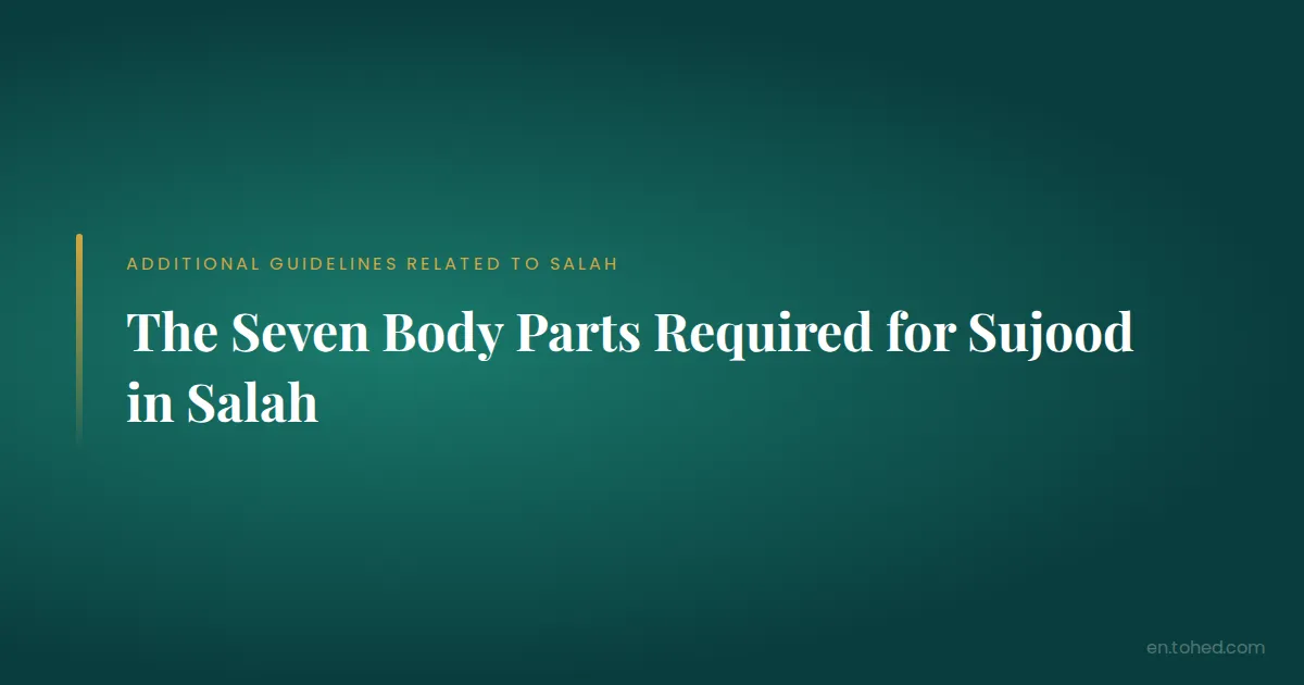 The Seven Body Parts Required for Sujood in Salah | Tohed